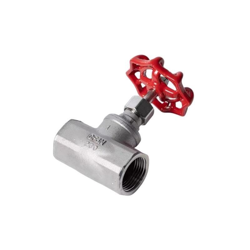 Stainless Steel 304/316 Bsp Thread Globe Valve for Chemical and ...