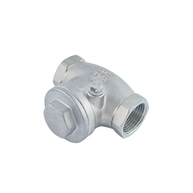Ordinary Temperature 304/316 Stainless Steel Swing Check Valve with ISO ...