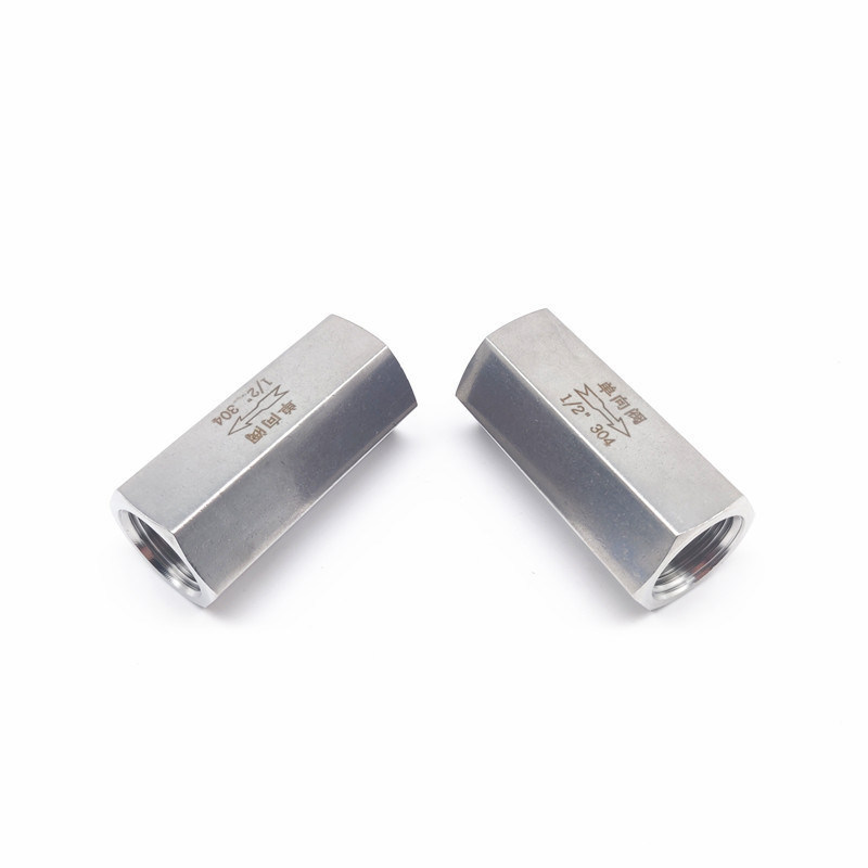Full Bore Stainless Steel 304 DN8-DN25 Hexagon Female Thread Non Return ...